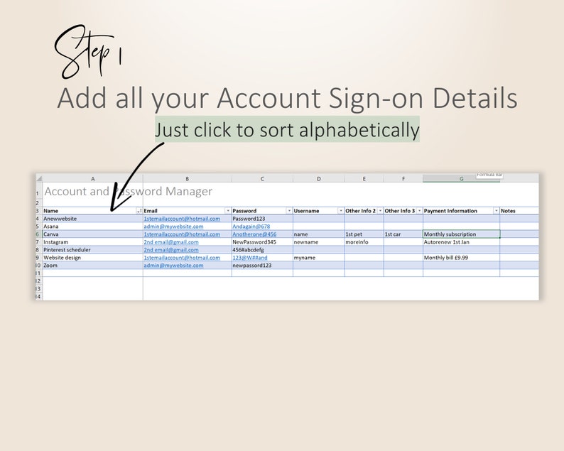 Account and Password Manager Template for Instant Access to All Your ...