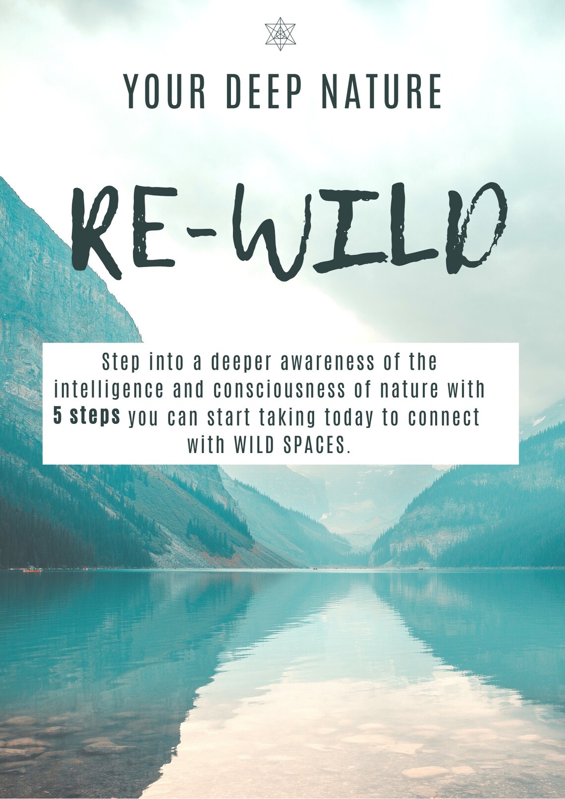 Re-wild Guide E-book - Etsy