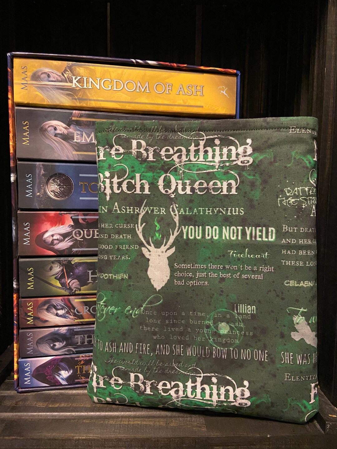 Throne of Glass, Tog, Maas Padded Book Sleeve. Size Large - Etsy