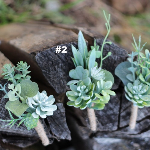 Boho Succulent Boutonniere Greenery Feather Buttonhole Groom - Etsy