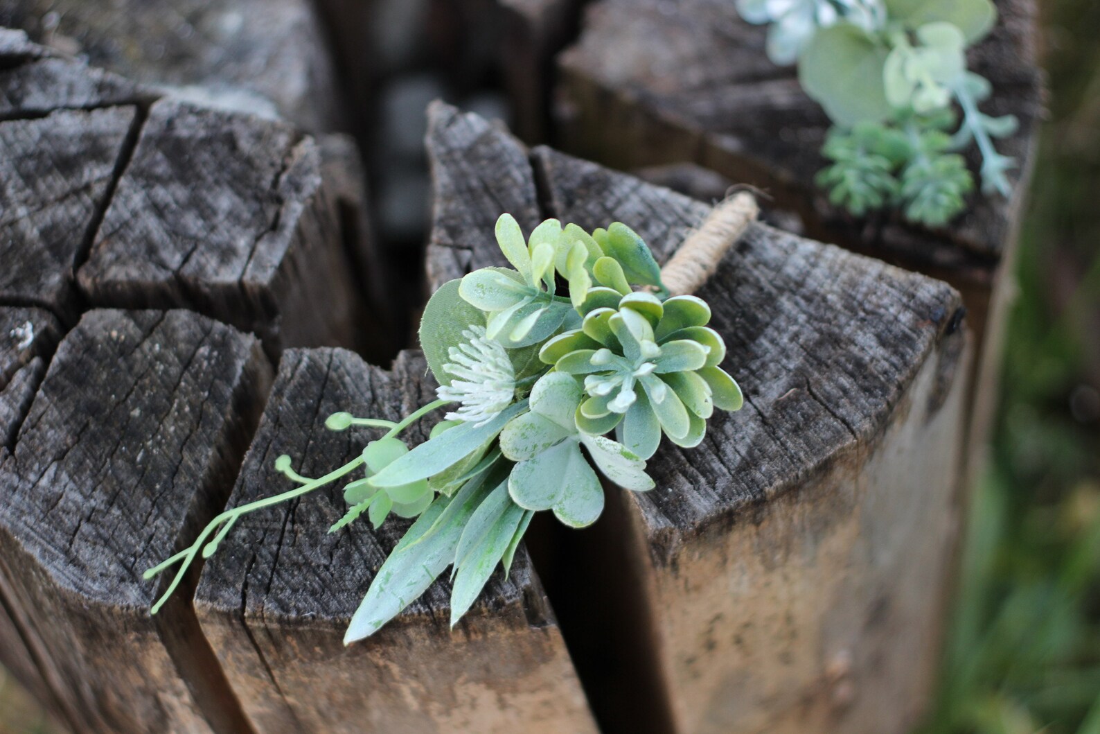 Boho Succulent Boutonniere Greenery Feather Buttonhole Groom - Etsy