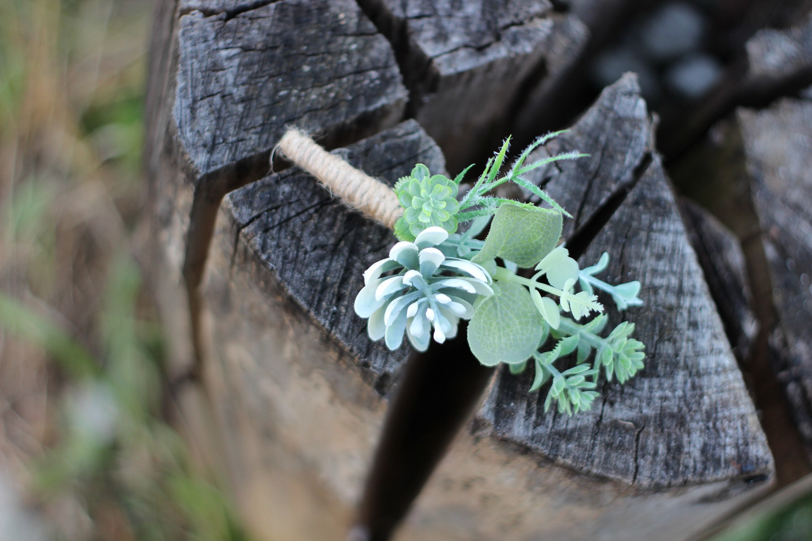 Boho Succulent Boutonniere, Greenery Feather Buttonhole, Groom or ...