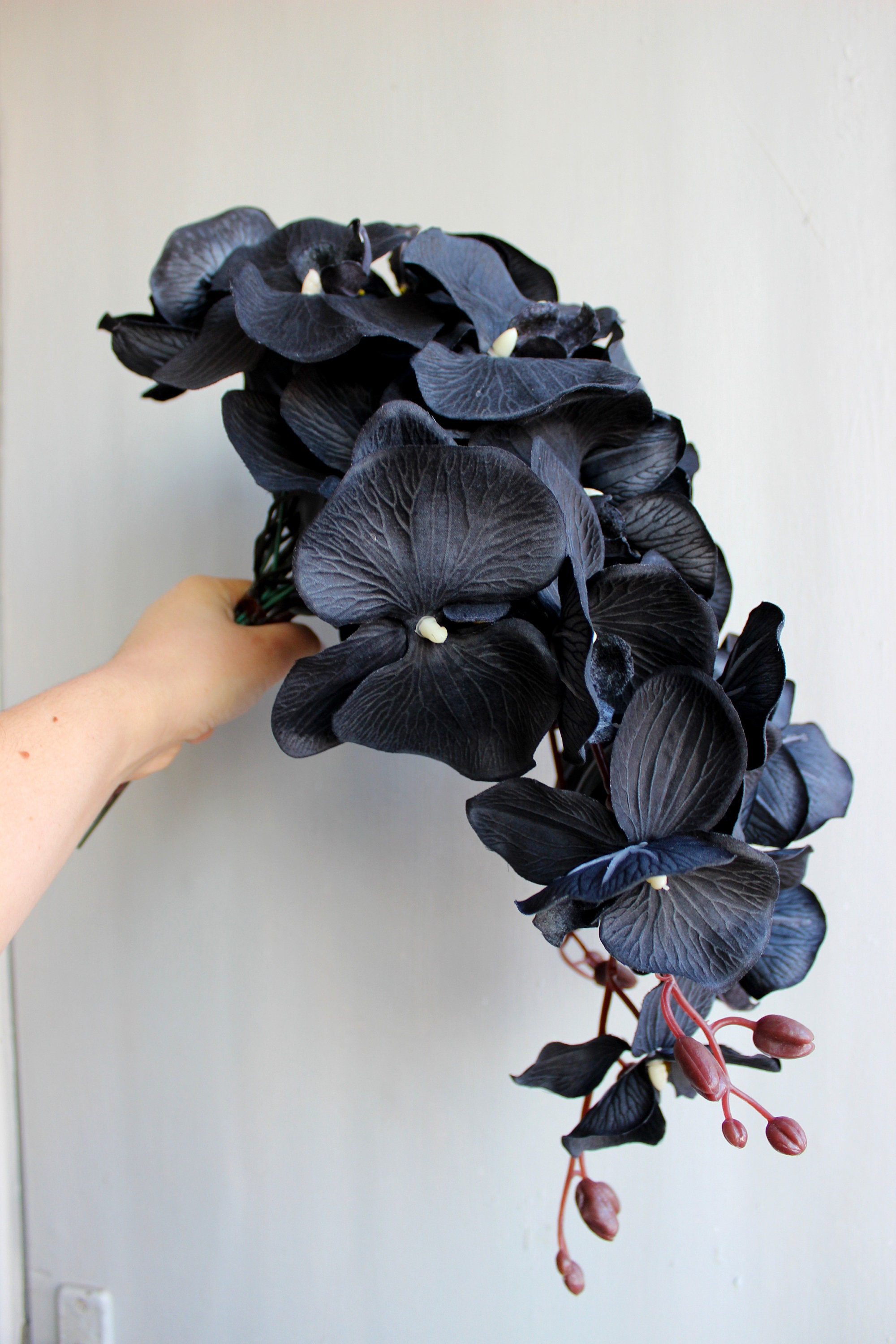 Black Orchid Bouquets
