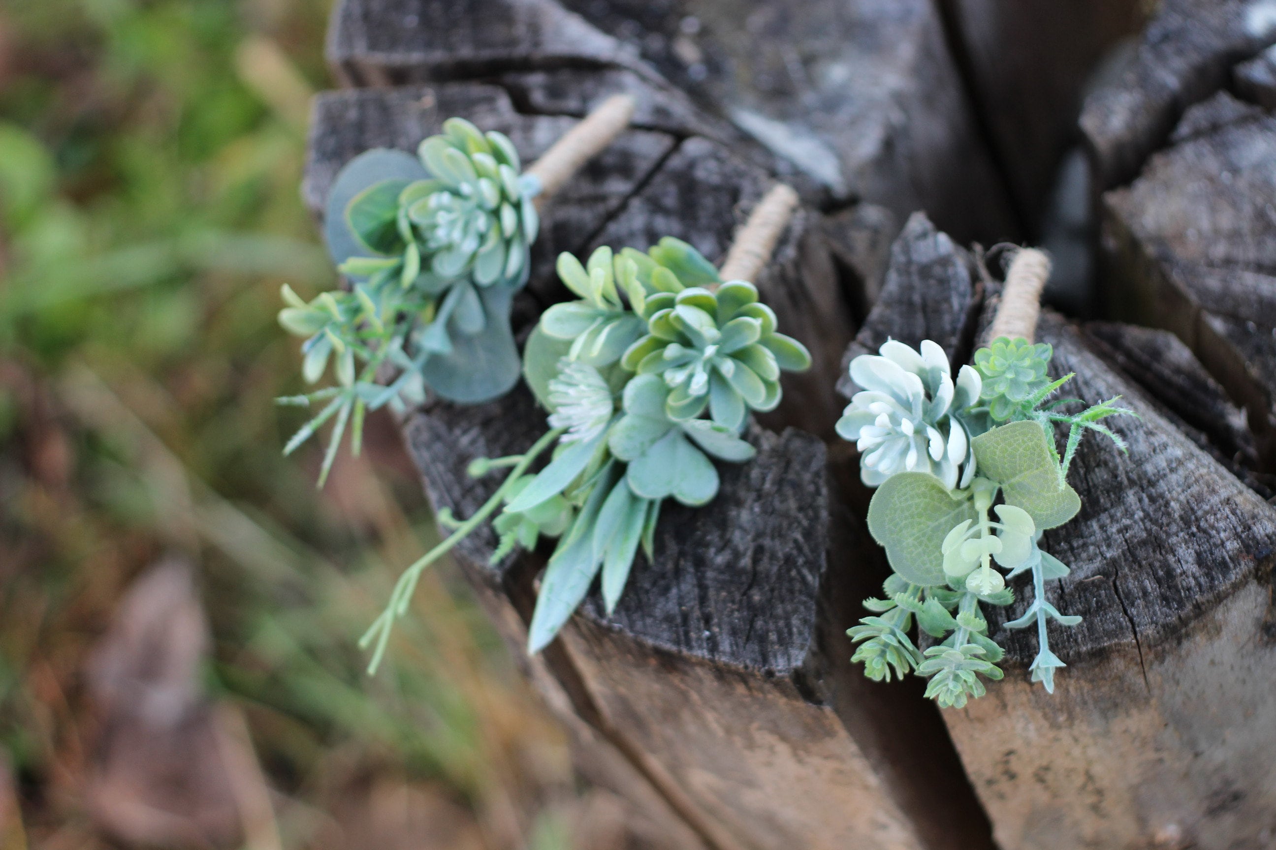 Boho Succulent Boutonniere, Greenery Feather Buttonhole, Groom or ...