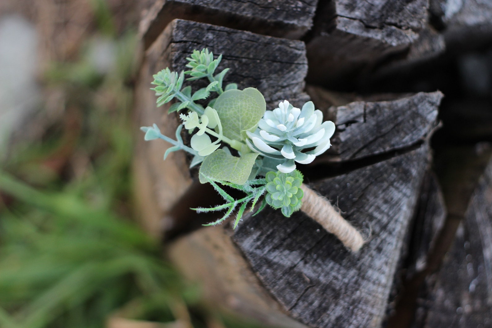 Boho Succulent Boutonniere Greenery Feather Buttonhole Groom - Etsy