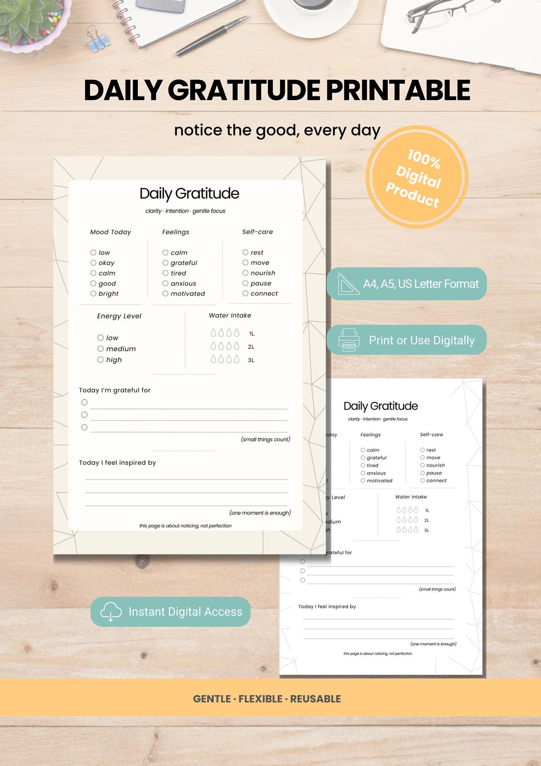 Daily Gratitude Journal Page, Positive Psychology Log, Morning Evening ...