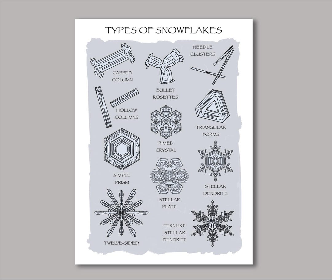 Snowflake Identification Poster, Winter Snow Nature Study, Homeschool ...