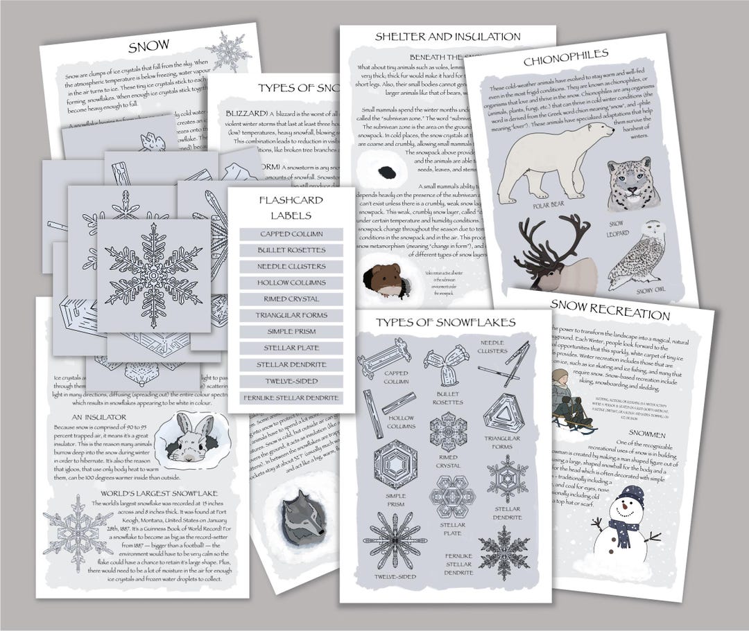 Snow Snowflake Unit Study, Winter, Nature Study, Lesson Pack ...