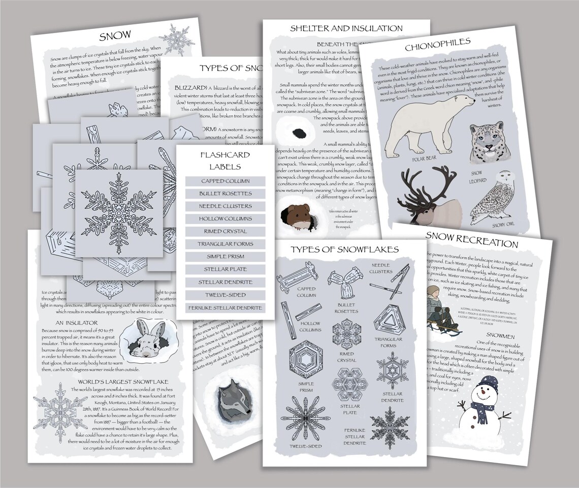 Snow Snowflake Unit Study, Winter, Nature Study, Lesson Pack ...