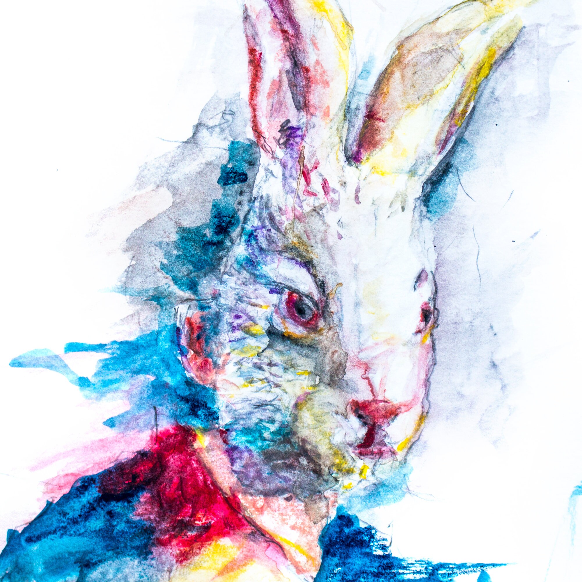 Mark Linkous. Sparklehorse. It's a Wonderful Life. A4 Print. Poster - Etsy