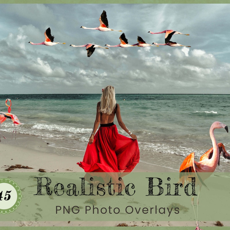 Birds Flying Photo - Etsy