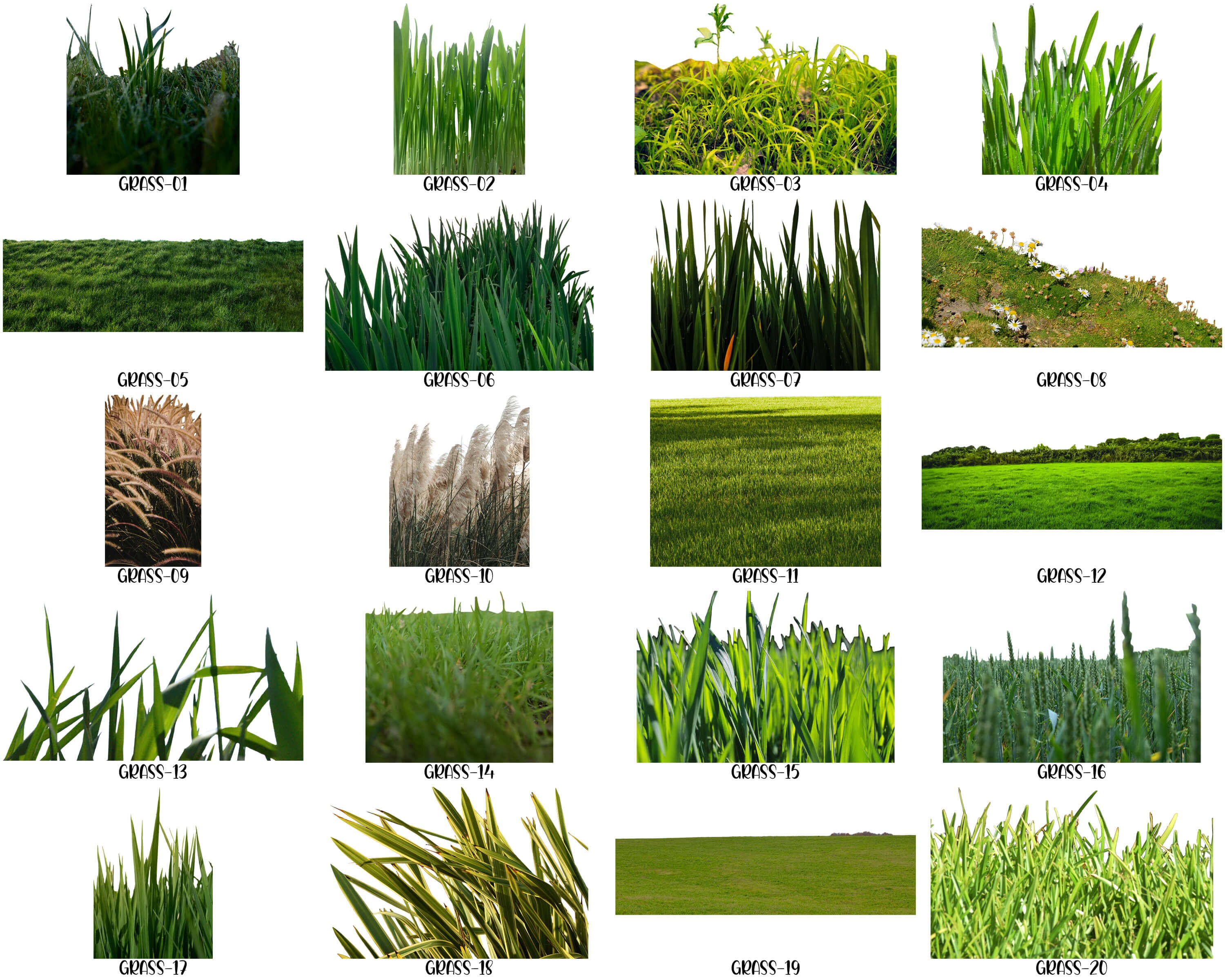20 Green Grass Overlays Different Overlay Digital Texture | Etsy