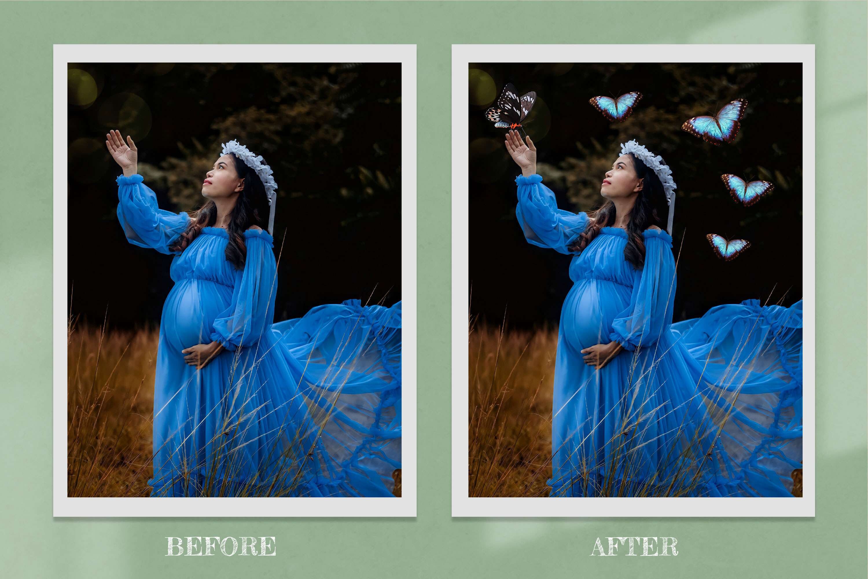 Butterfly Photoshop Editing PNG Overlays Digital Backdrops | Etsy