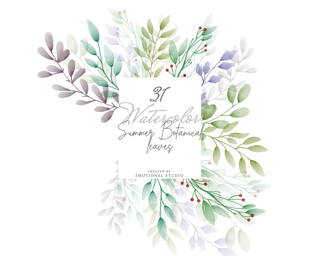 Watercolor Summer Botanical Leaves High Res Png, Floral Illustration ...
