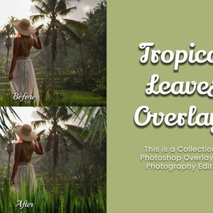 75 Tropical Leaves Overlays for Photoshop, Green Branches, Grass ...