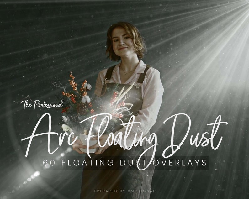60 ARC Floating Dust Flare Effect Photo Overlays Different - Etsy