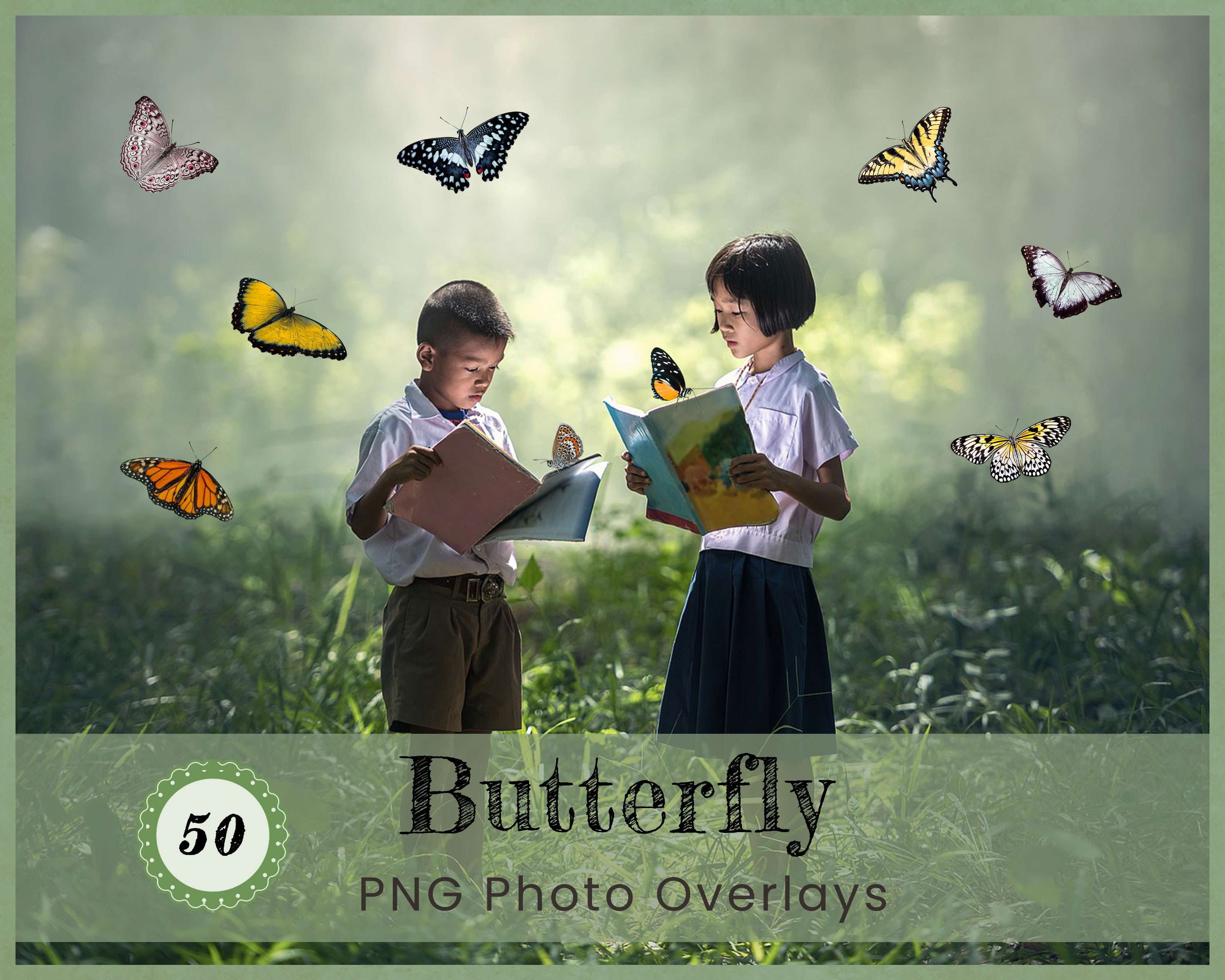 Butterfly Photoshop Editing PNG Overlays Digital Backdrops | Etsy