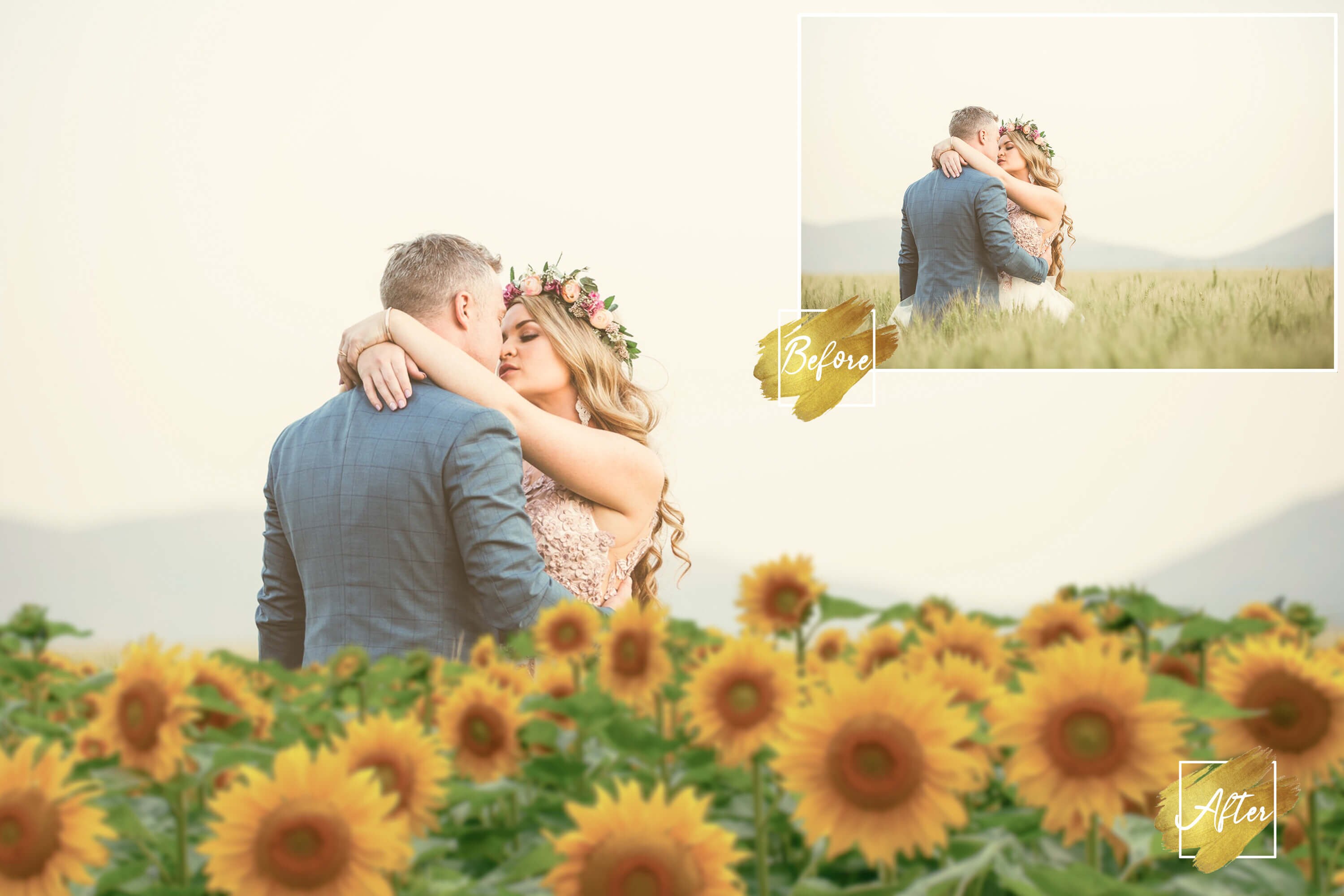 Sunflower Myspace Backgrounds