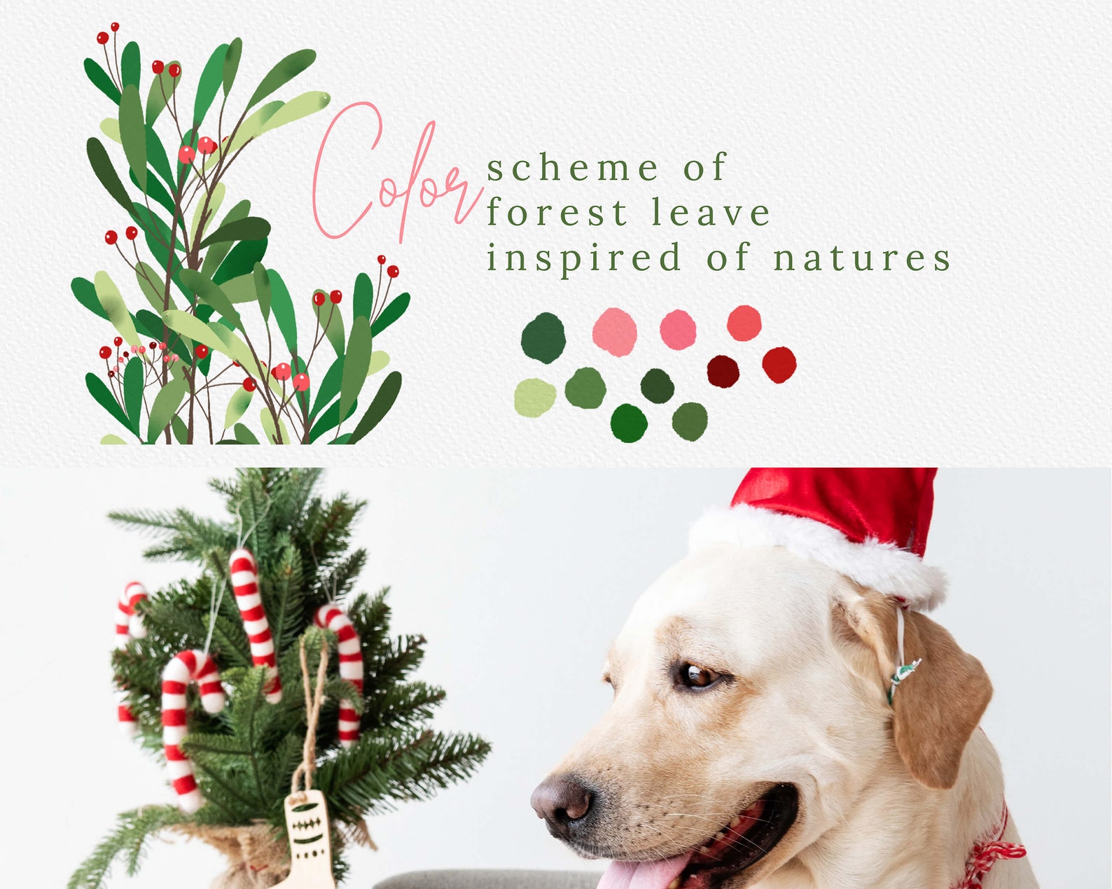 Christmas Watercolor Collection High Res Png Floral - Etsy