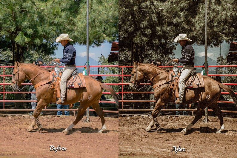 16 Cowboy Lightroom Presets: Vintage Western Photography Filters - Etsy