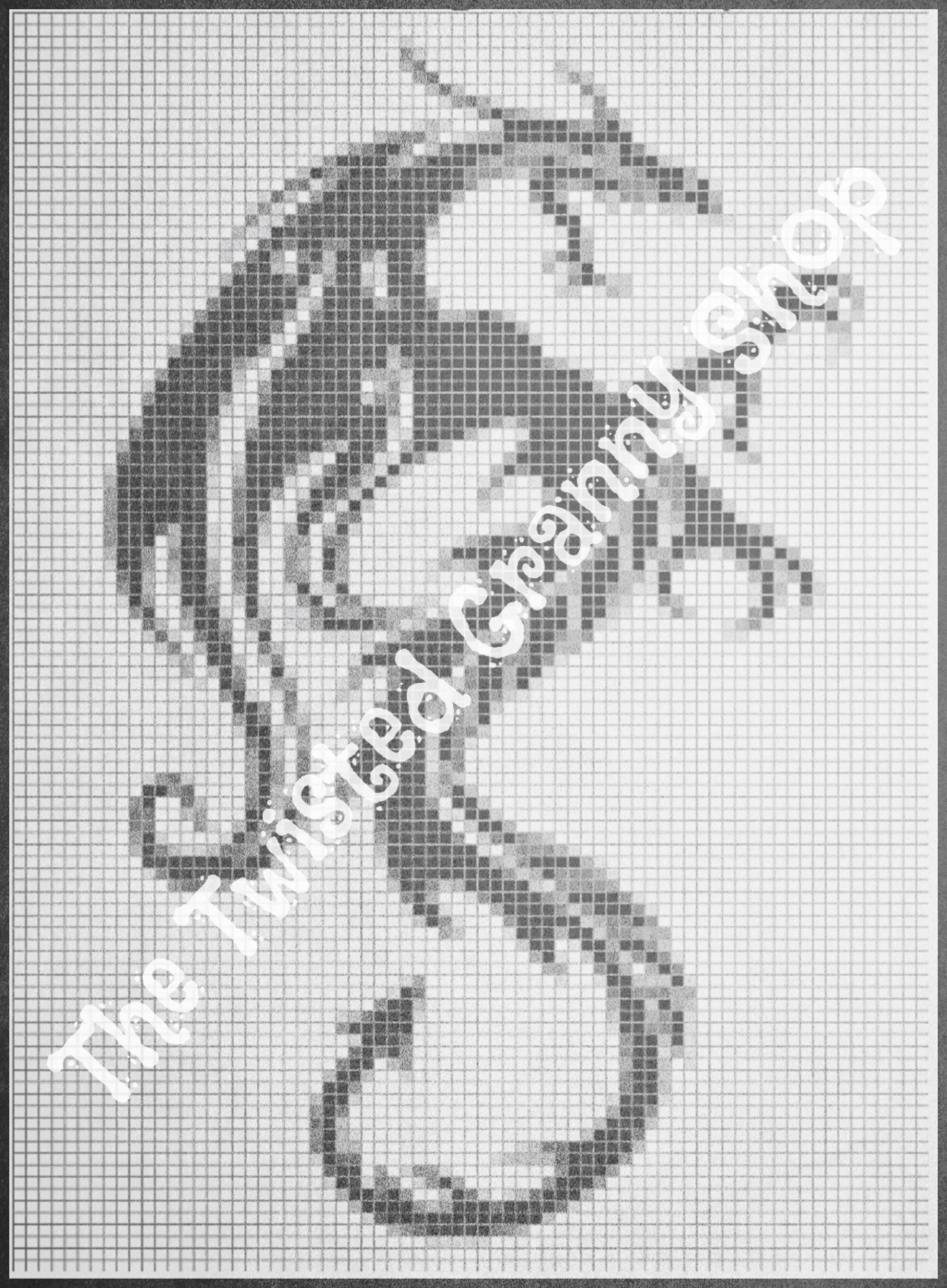 Black Dragon Basic Graph, Full Color DIY Craft Supply Crochet ...