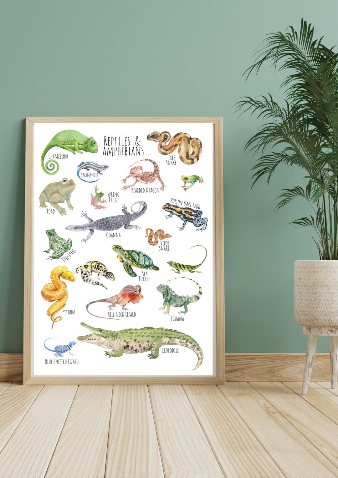 Póster A3 de Reptiles y Anfibios, Ilustración de Animales (Descarga ...