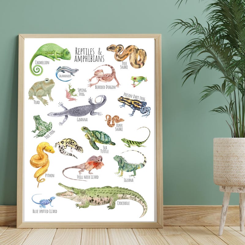 Reptile Print - Etsy