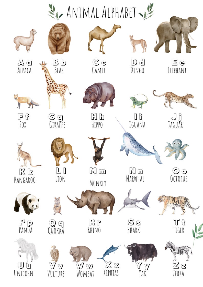 Animal Alphabet, A3 Poster a Beautiful Selection of Gorgeous Unique ...