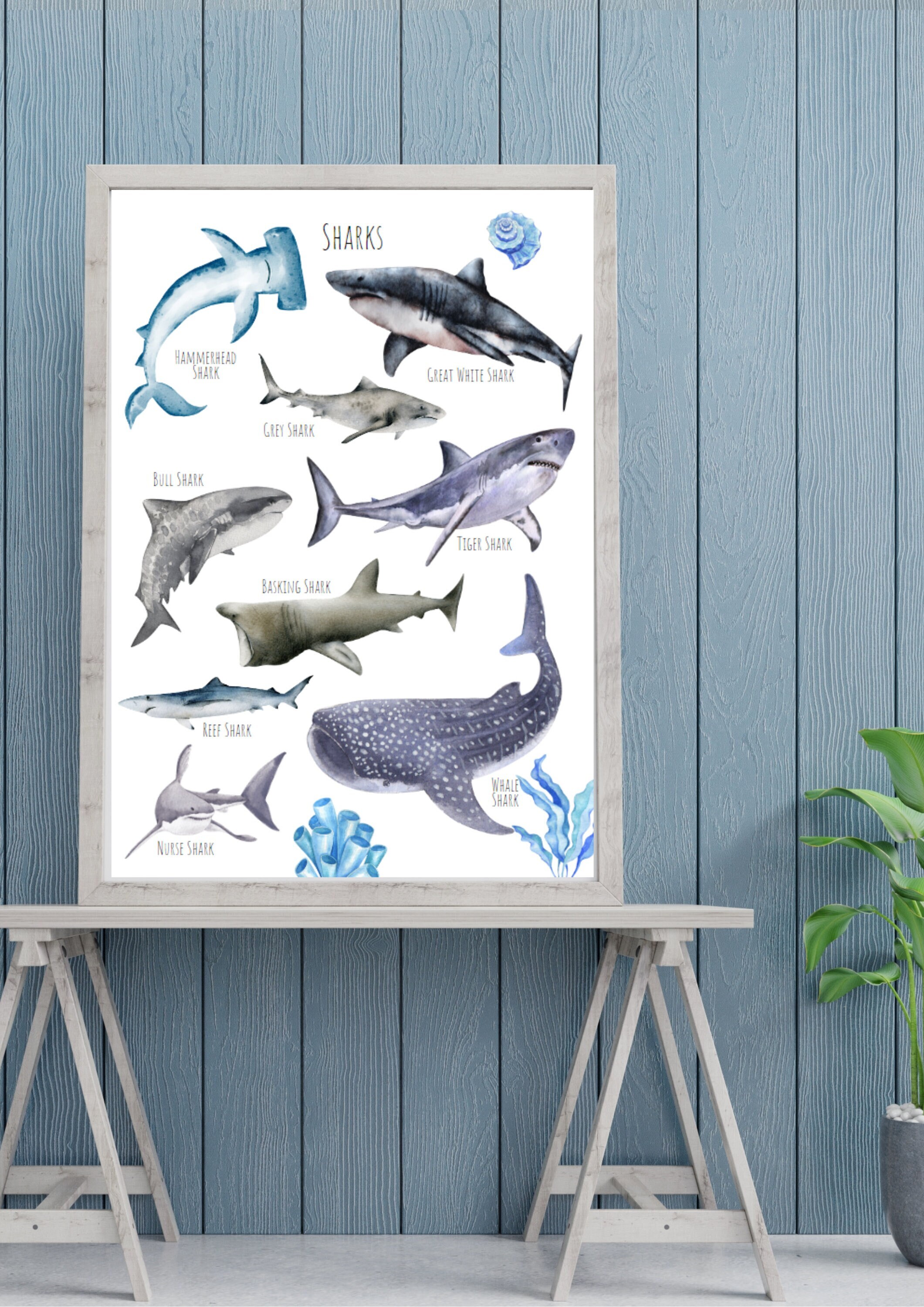Sharks, A3 Poster a Beautiful Selection of Gorgeous Unique Sharks From ...