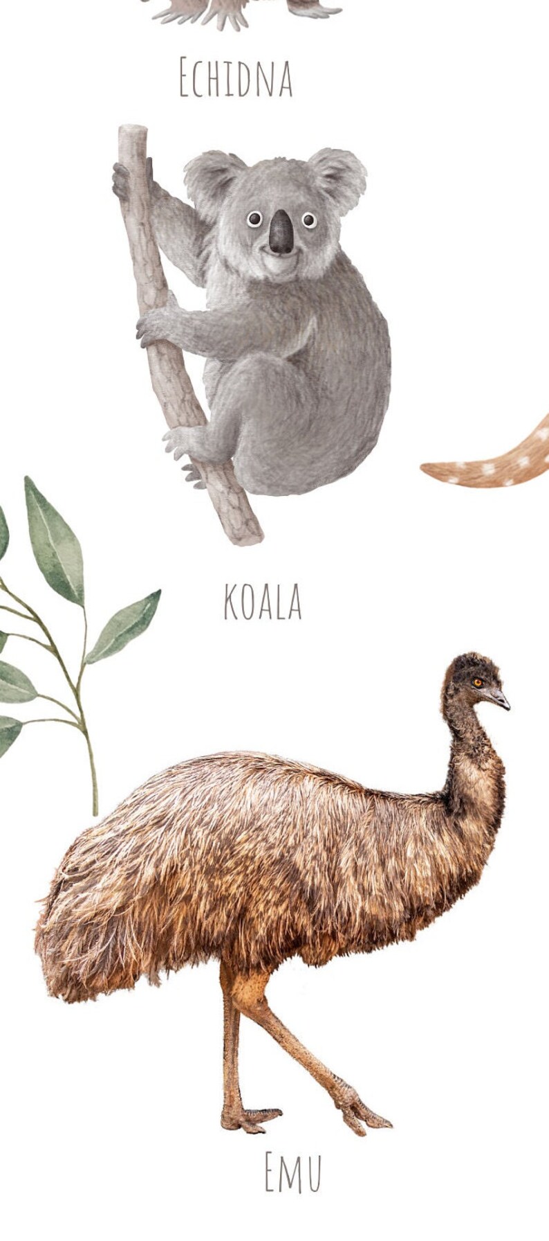 Australian Animals Poster A3 a Beautiful Selection of - Etsy