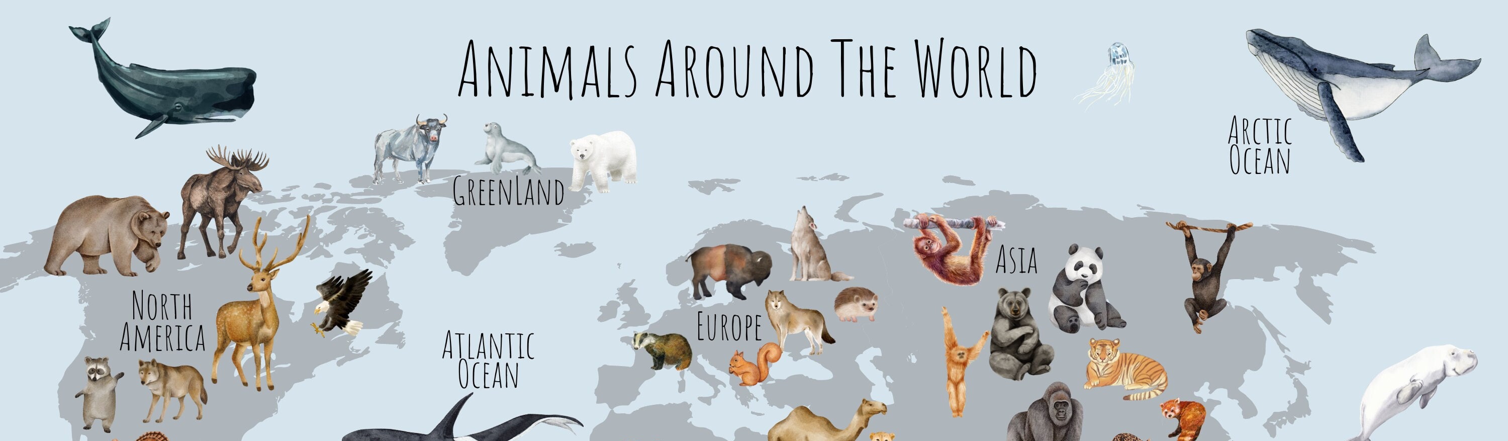 Animal World Map Print, Educational A3 Poster (digital Download) - Etsy