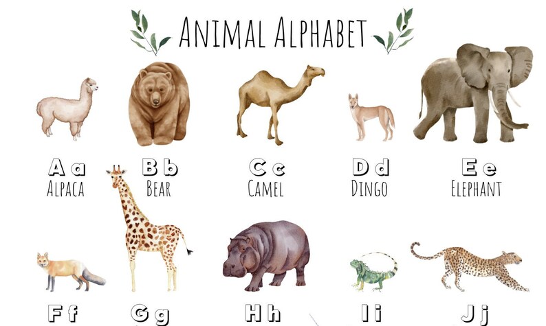 Animal Alphabet A3 Poster a Beautiful Selection of Gorgeous - Etsy