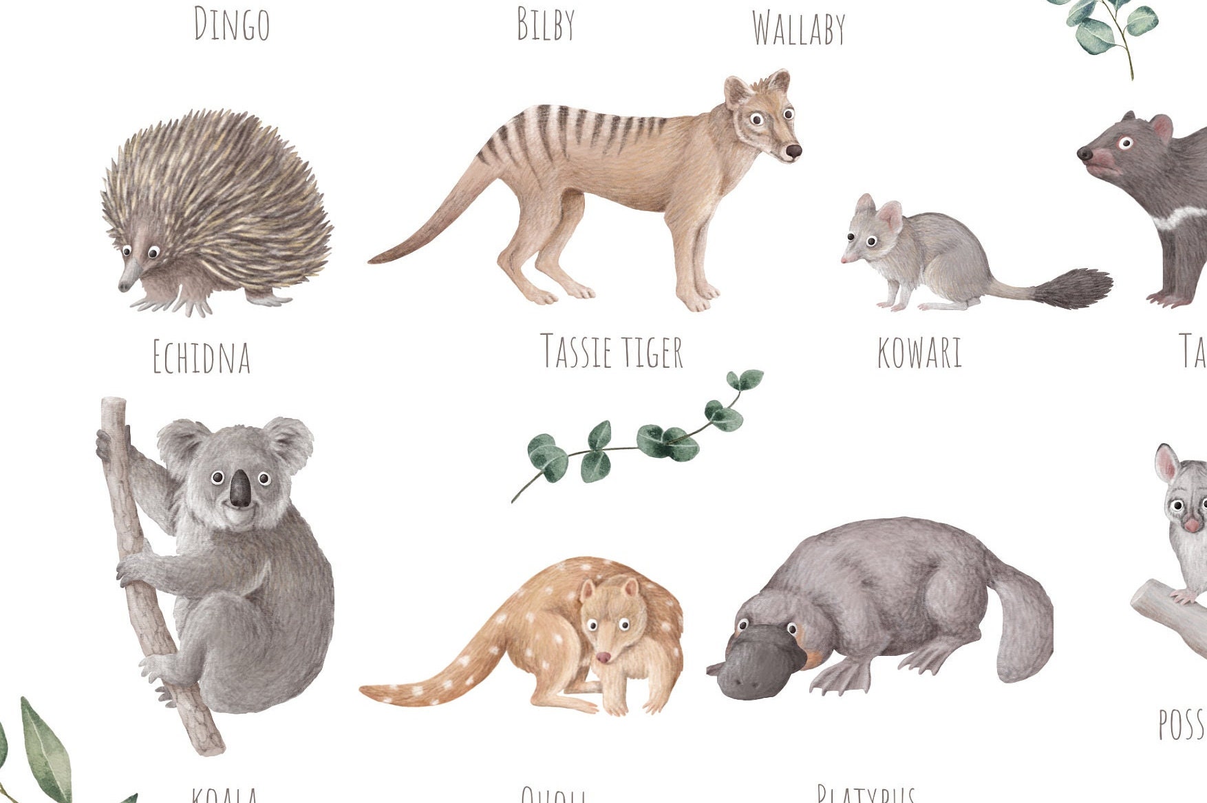 Australian Animals Poster A3 a Beautiful Selection of Gorgeous Unique ...