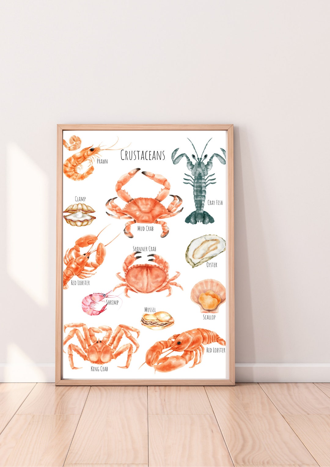 Crustaceans, A3 Poster - a Beautiful Selection of Gorgeous + Unique ...