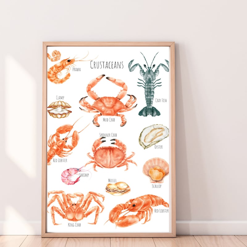 Seafood Posters - Etsy