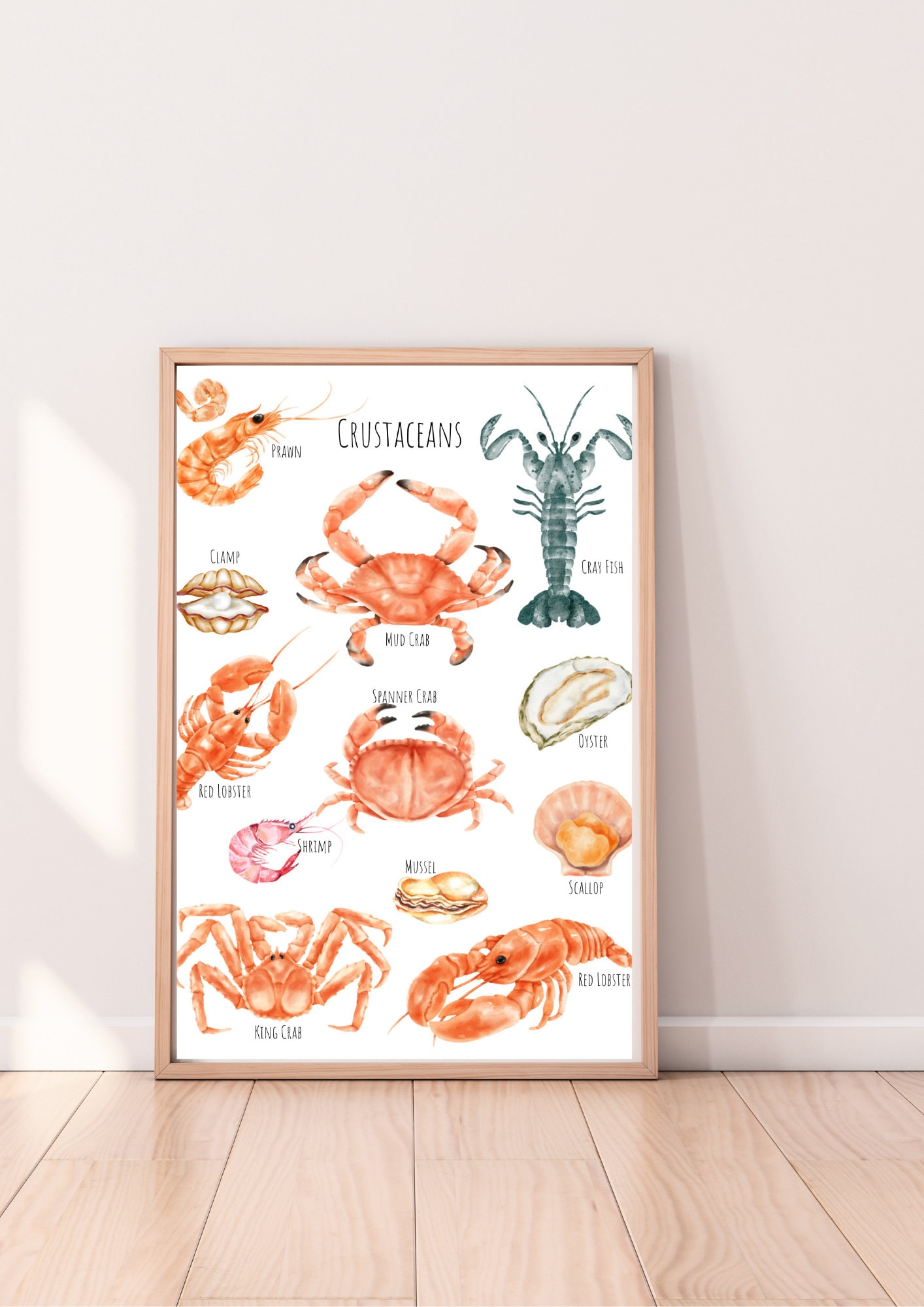 Crustaceans, A3 Poster a Beautiful Selection of Gorgeous Unique Seafood ...