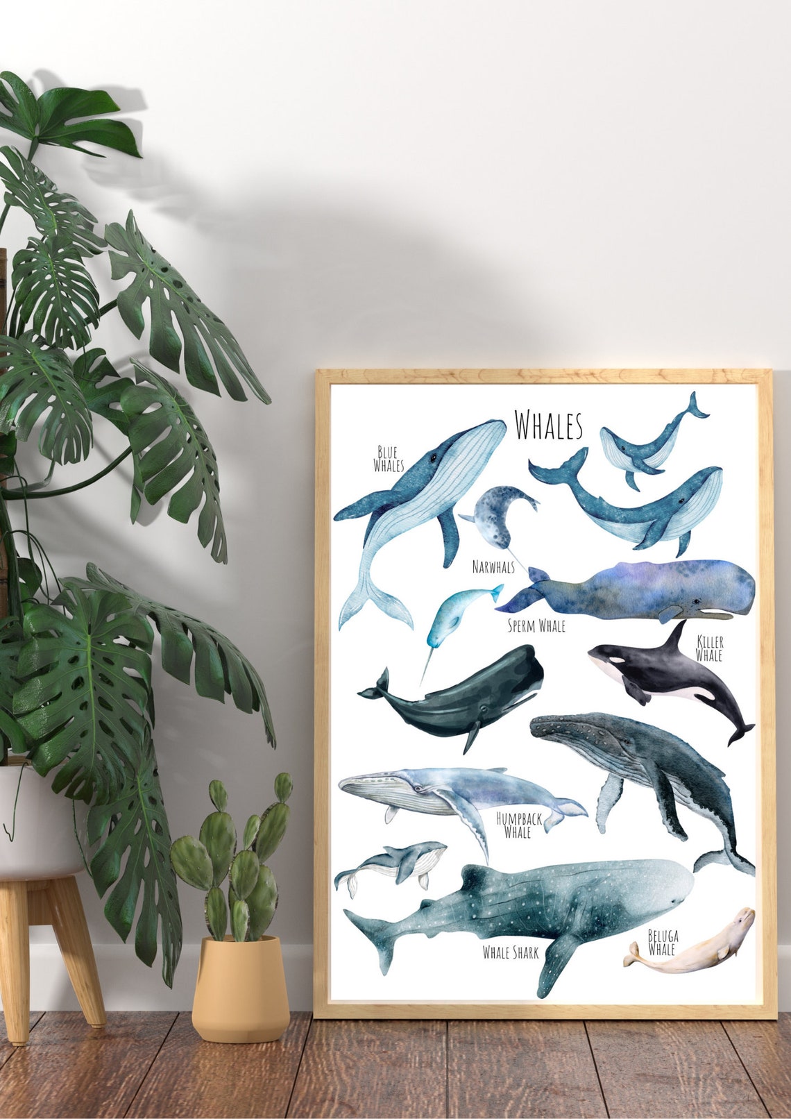 Whales, A3 Poster - a Beautiful Selection of Gorgeous + Unique Whales ...