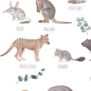 Australian Animals Poster A3 - a Beautiful Selection of Gorgeous ...