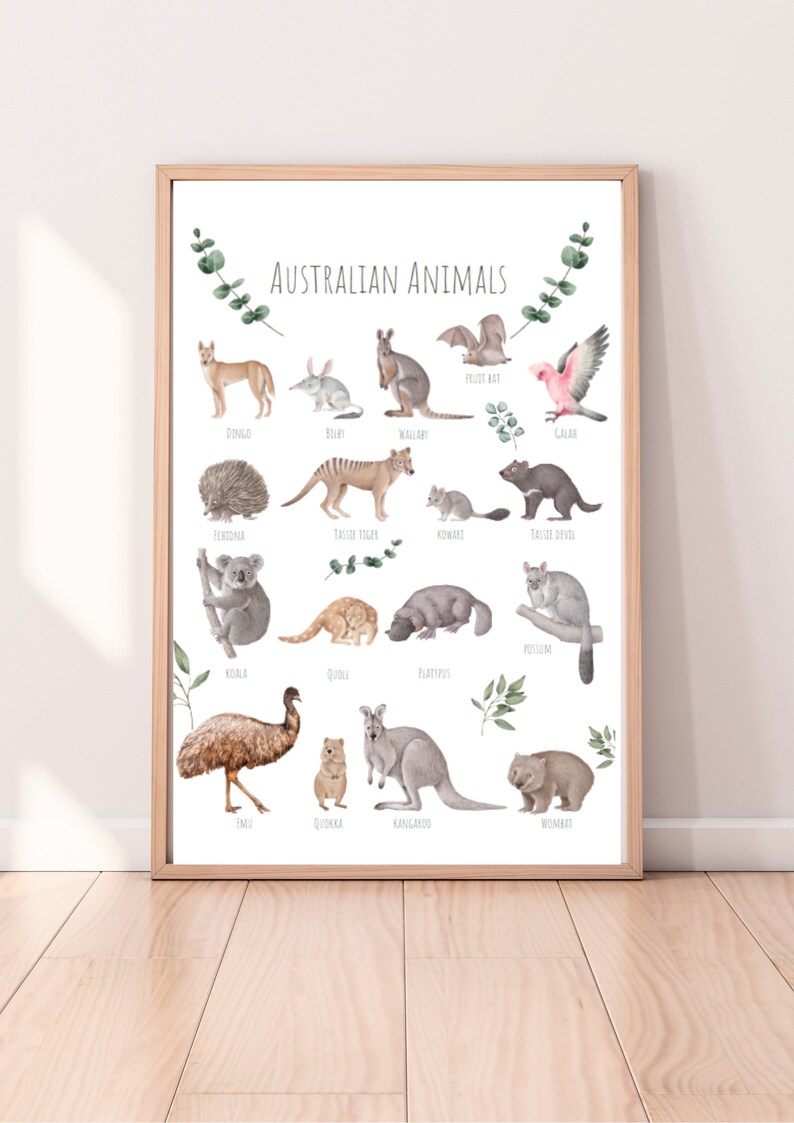 Australian Animals Poster A3 a Beautiful Selection of Gorgeous Unique ...
