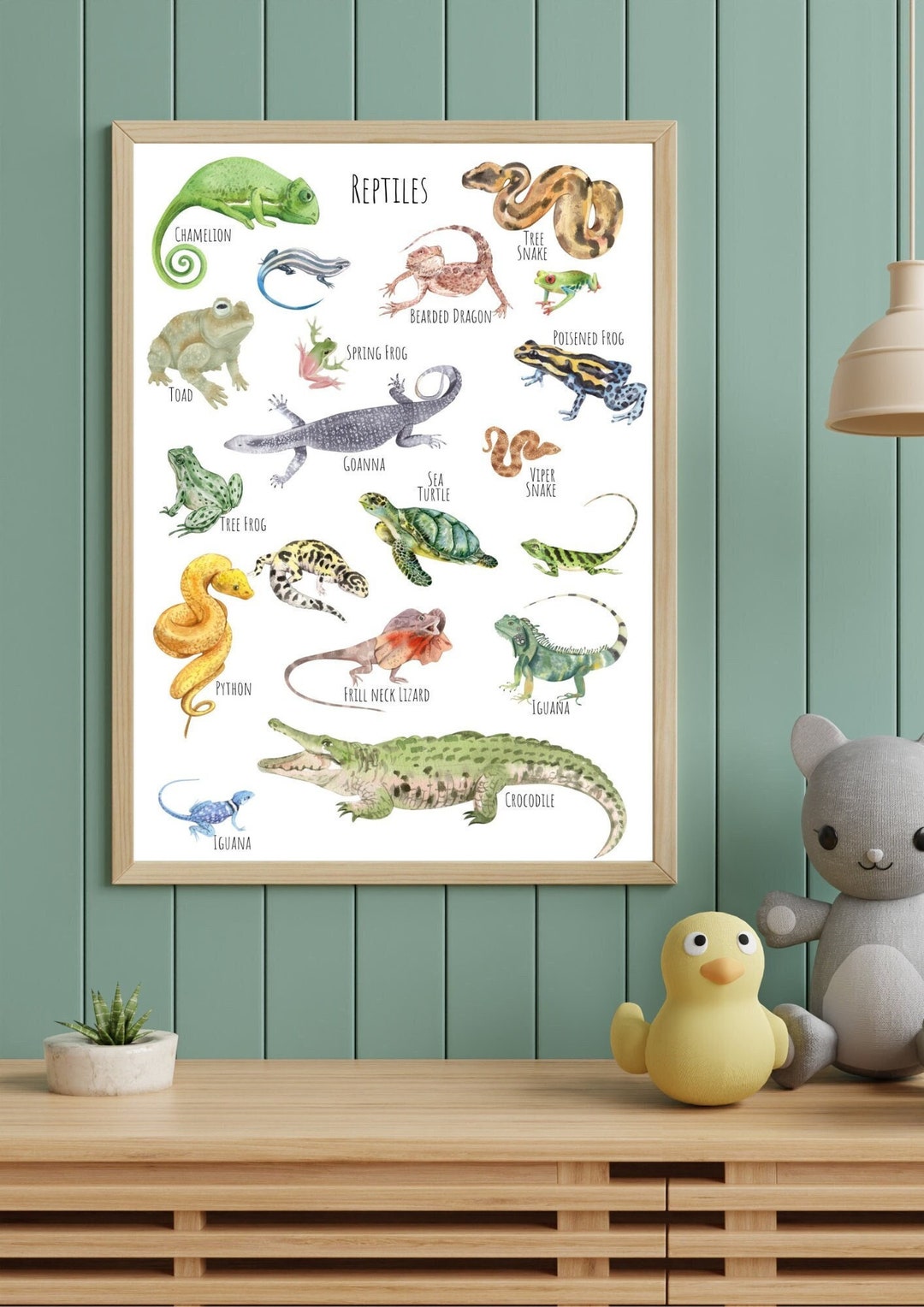 Reptiles, A3 Poster - a Beautiful Selection of Gorgeous + Unique ...