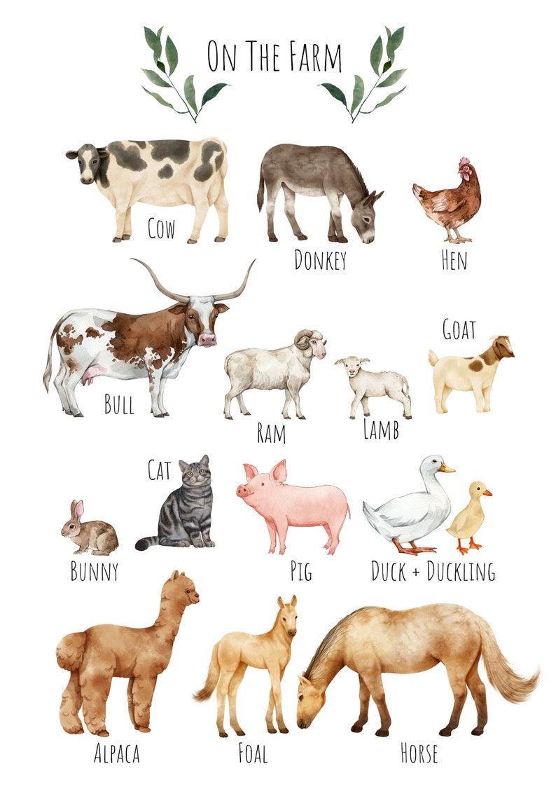 Farm Animals, A3 Poster - a Beautiful Selection of Gorgeous + Unique ...