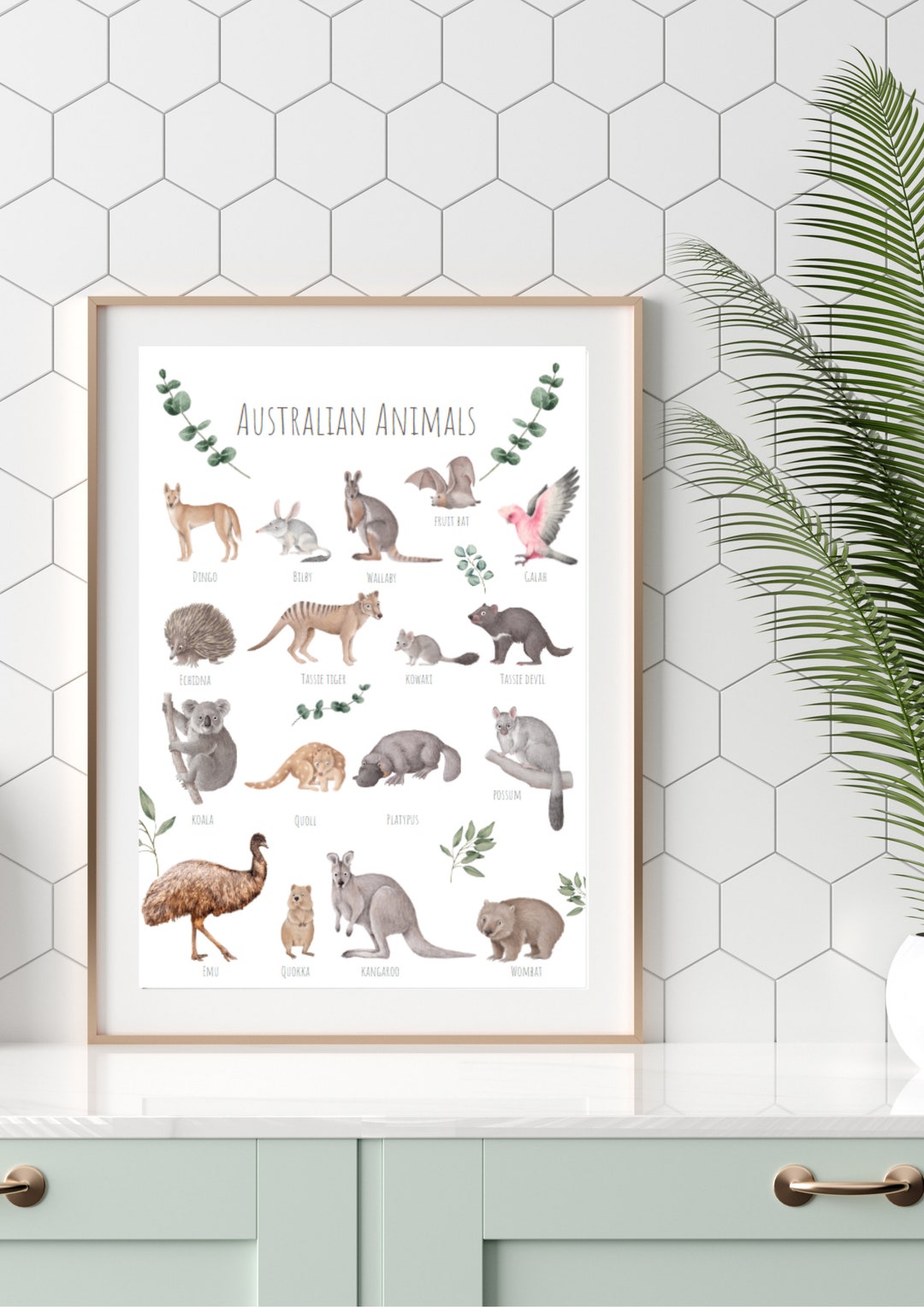 Australian Animals Poster A3 - a Beautiful Selection of Gorgeous ...