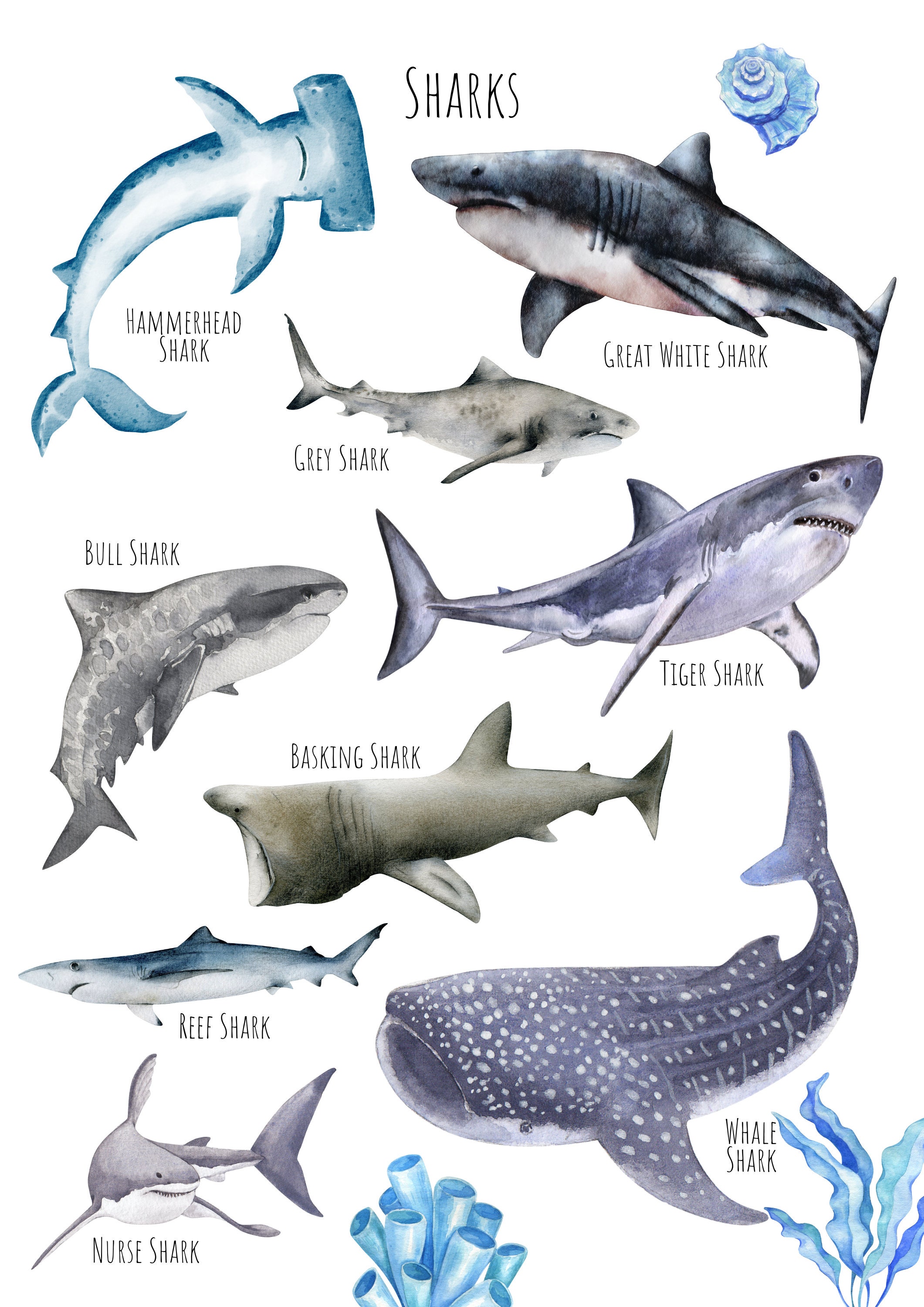 Sharks A3 Poster a Beautiful Selection of Gorgeous Unique - Etsy