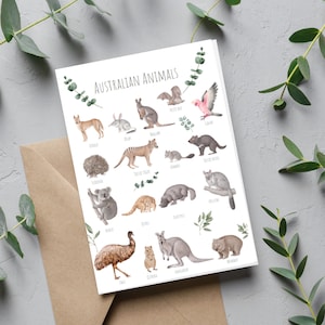 Australian Animals Poster A3 - a Beautiful Selection of Gorgeous ...