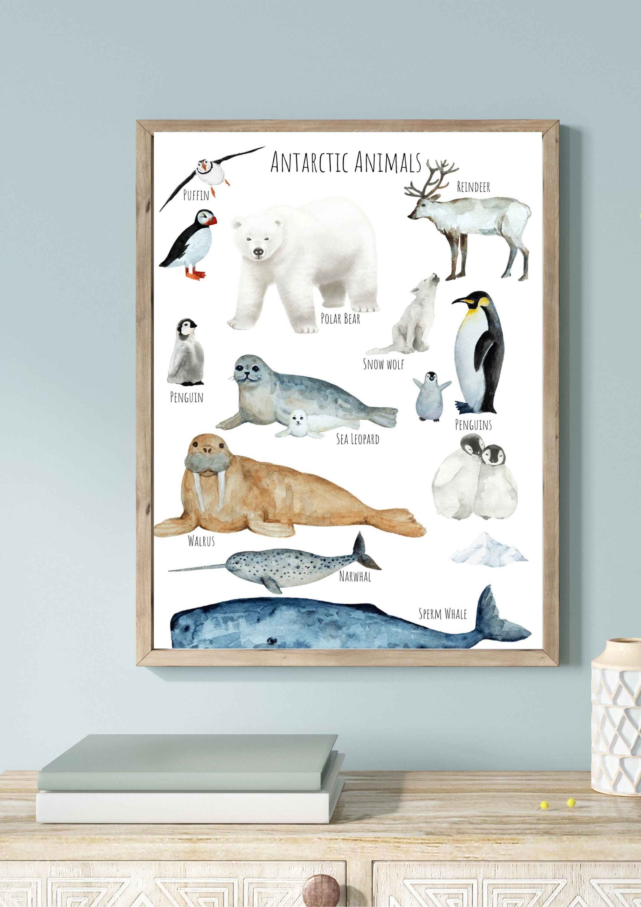 Antarctic Animals, A3 Poster a Beautiful Selection of Gorgeous Unique ...
