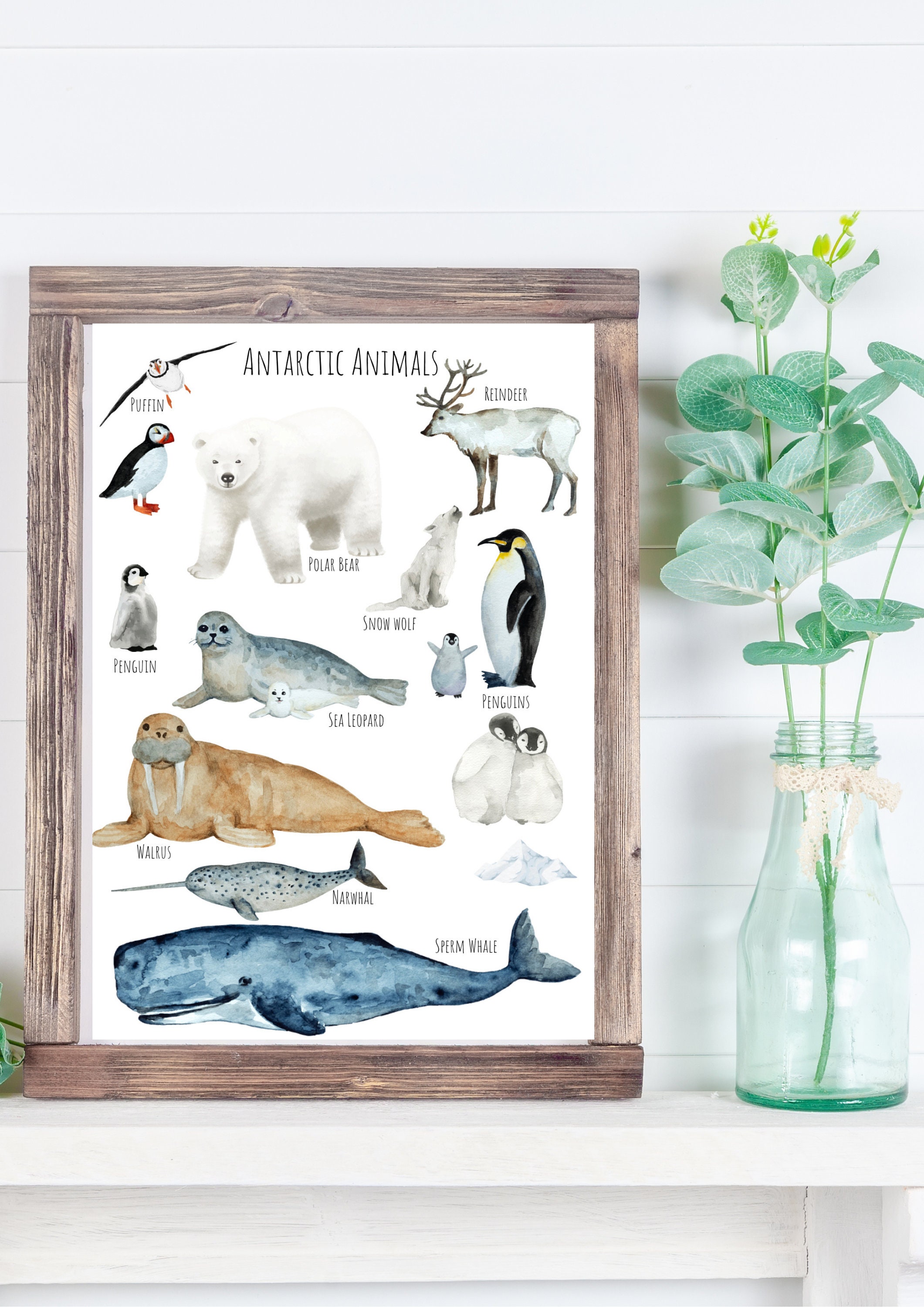 Antarctic Animals, A3 Poster a Beautiful Selection of Gorgeous Unique ...