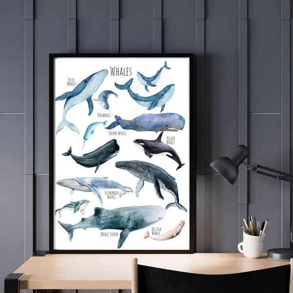 Whales of the World Poster - Etsy