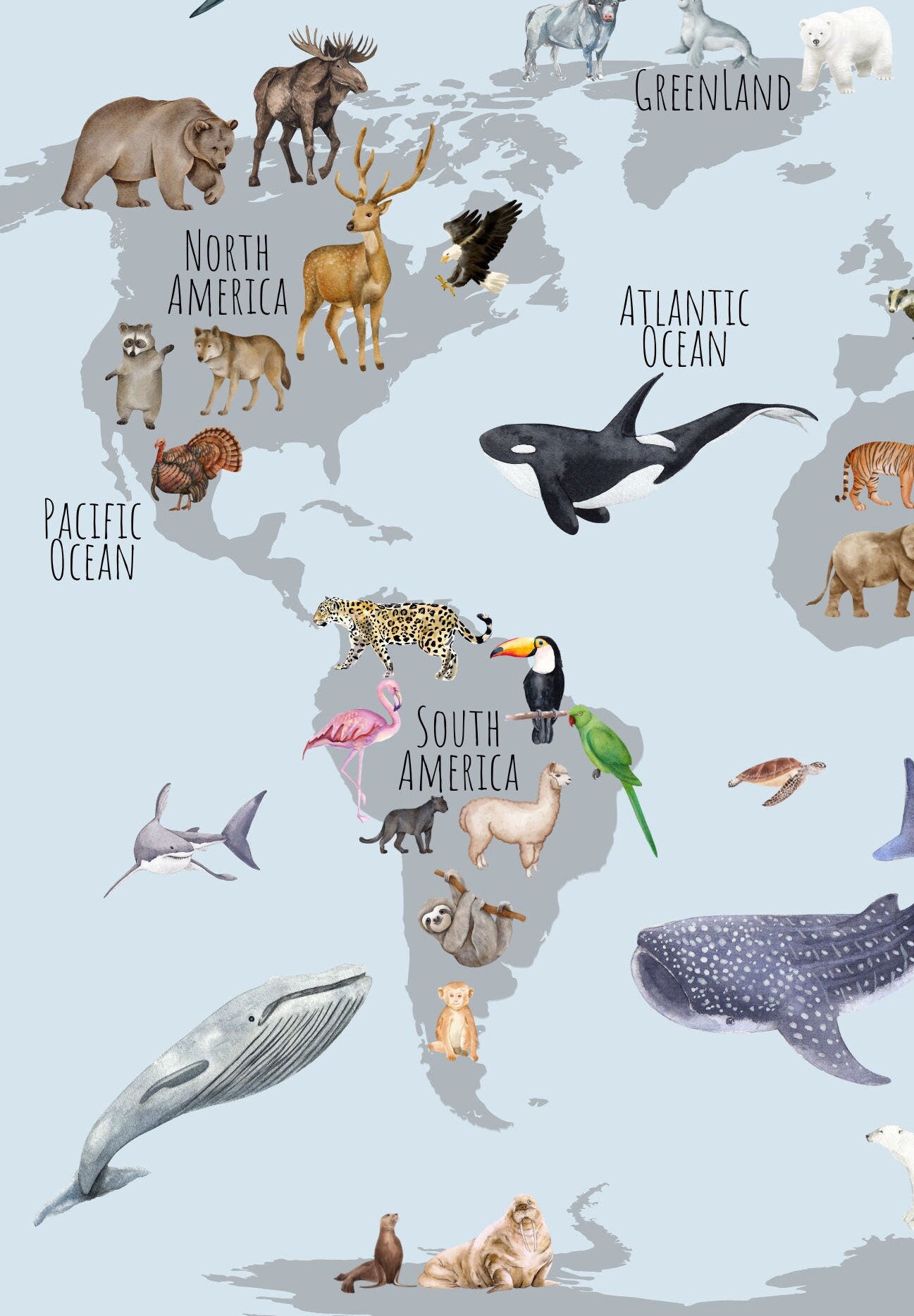 Animals Around the World, A3 Poster a Beautiful Map Showing Where ...