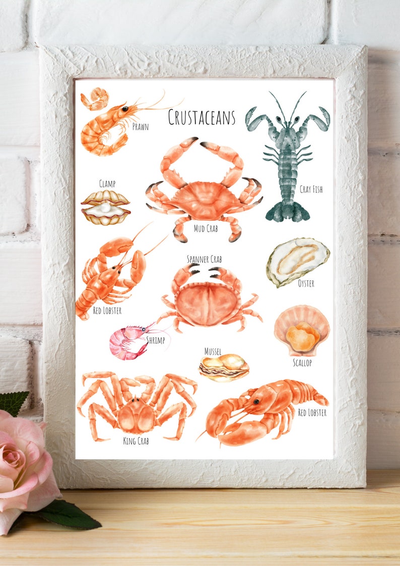 Crustaceans, A3 Poster a Beautiful Selection of Gorgeous Unique Seafood ...