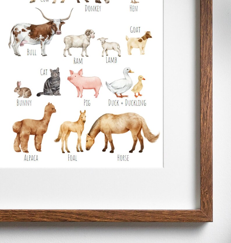 Farm Animals, A3 Poster - a Beautiful Selection of Gorgeous + Unique ...